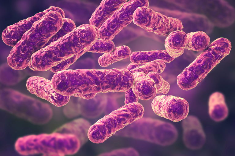 Bartonella: The Sneaky Bacteria Behind Surprisingly Complex Symptoms ...
